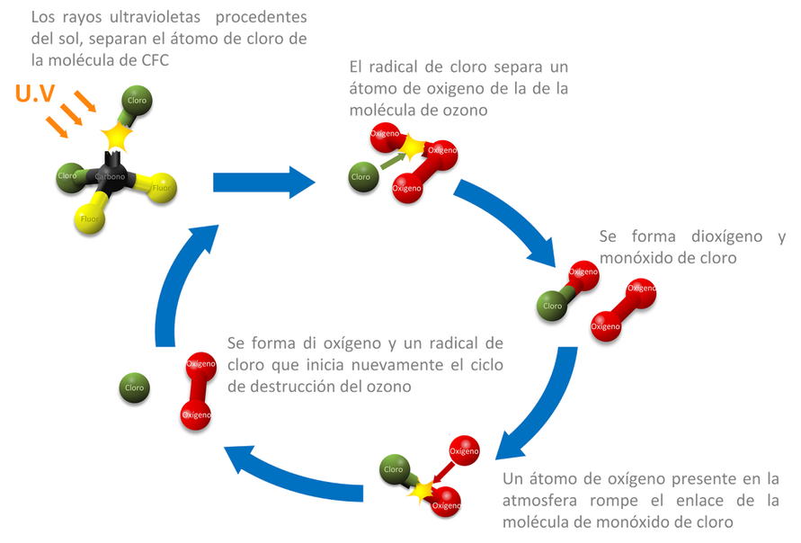 Refrigeración: Impacto ambiental - Netjoule